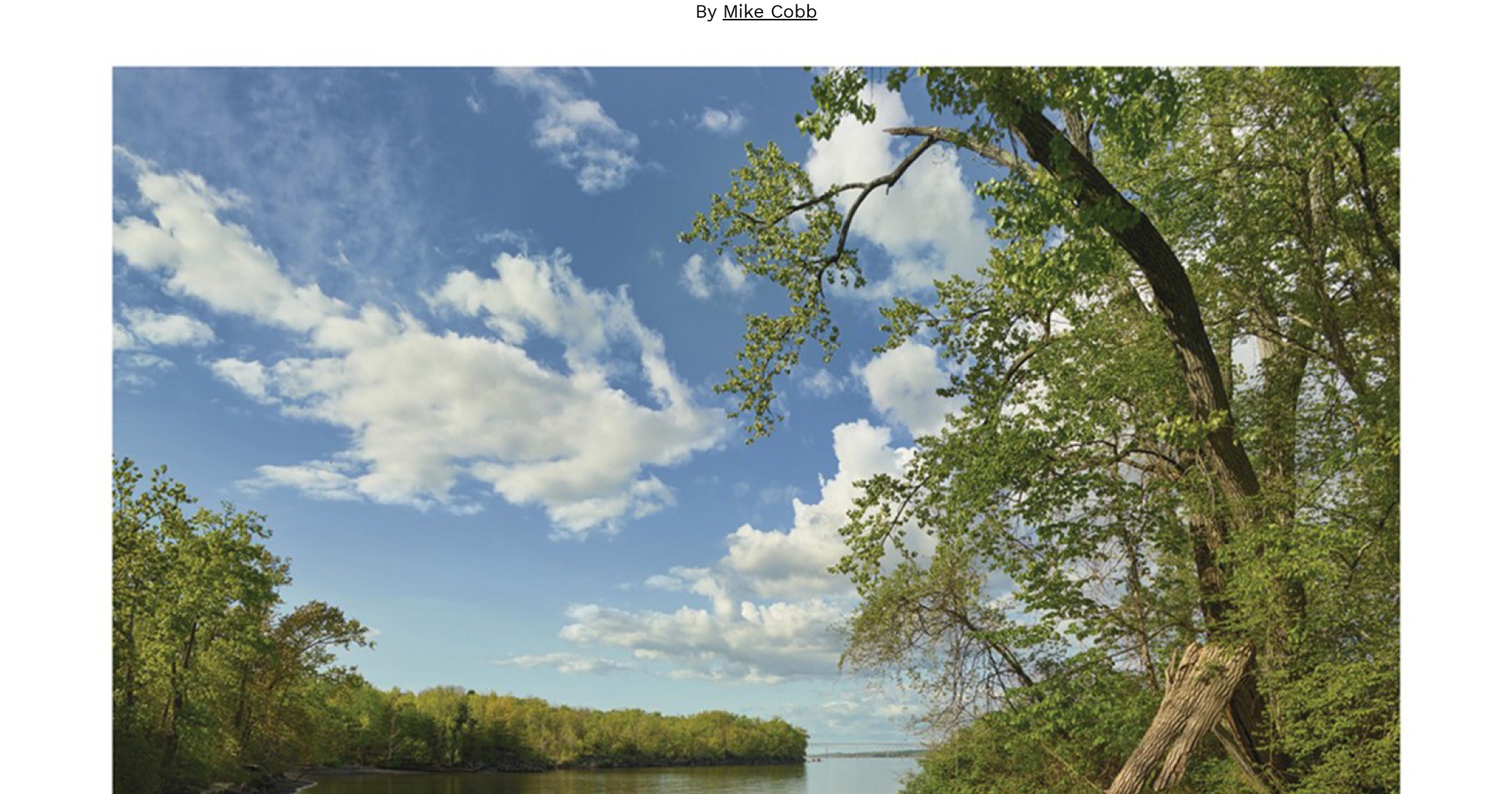 Andrew Moore’s Landscape Photographs | Jackson Fine Art